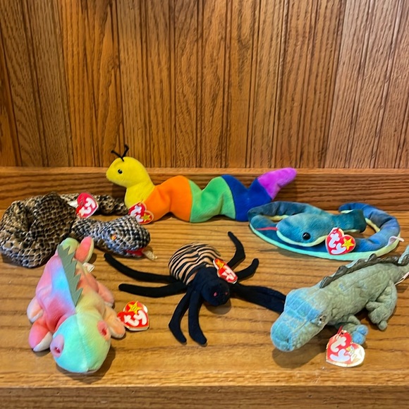 Ty | Toys | 6 Ty Beanie Babies Crawling Slithering Reptiles | Poshmark